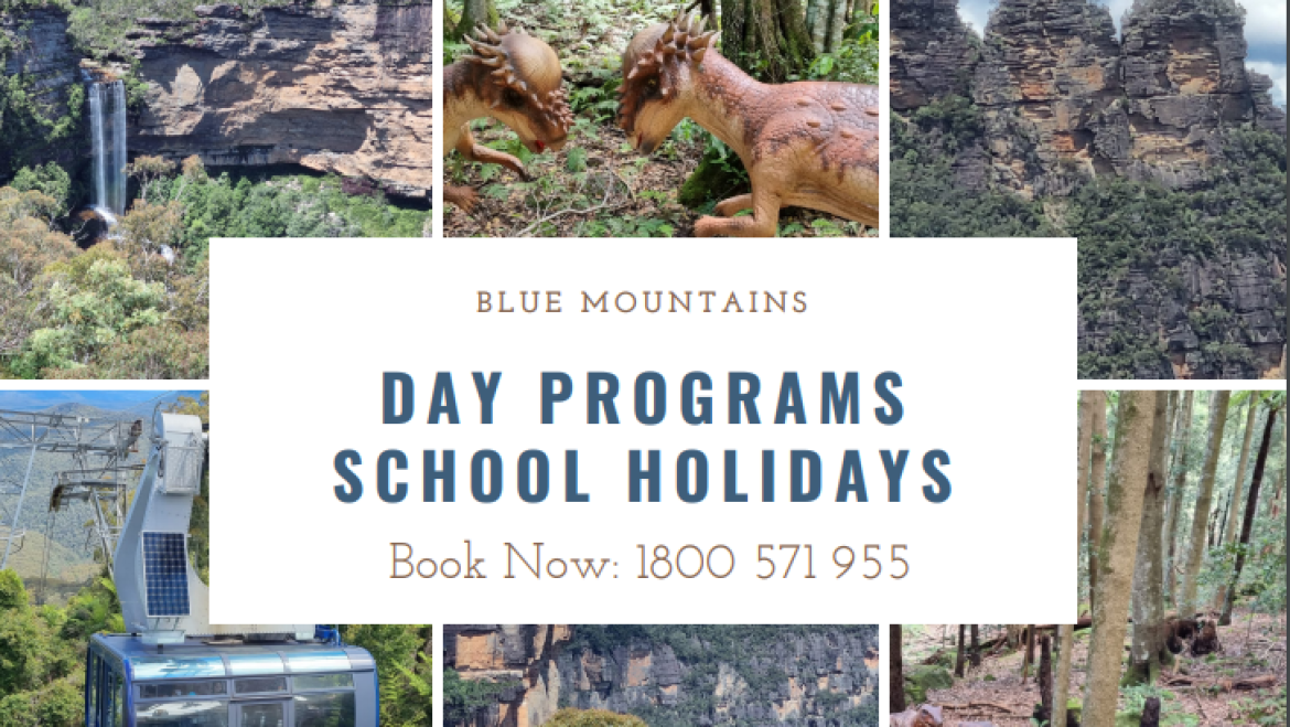 NDIS Day Program In Sydney, Liverpool, Blacktown, Penrith